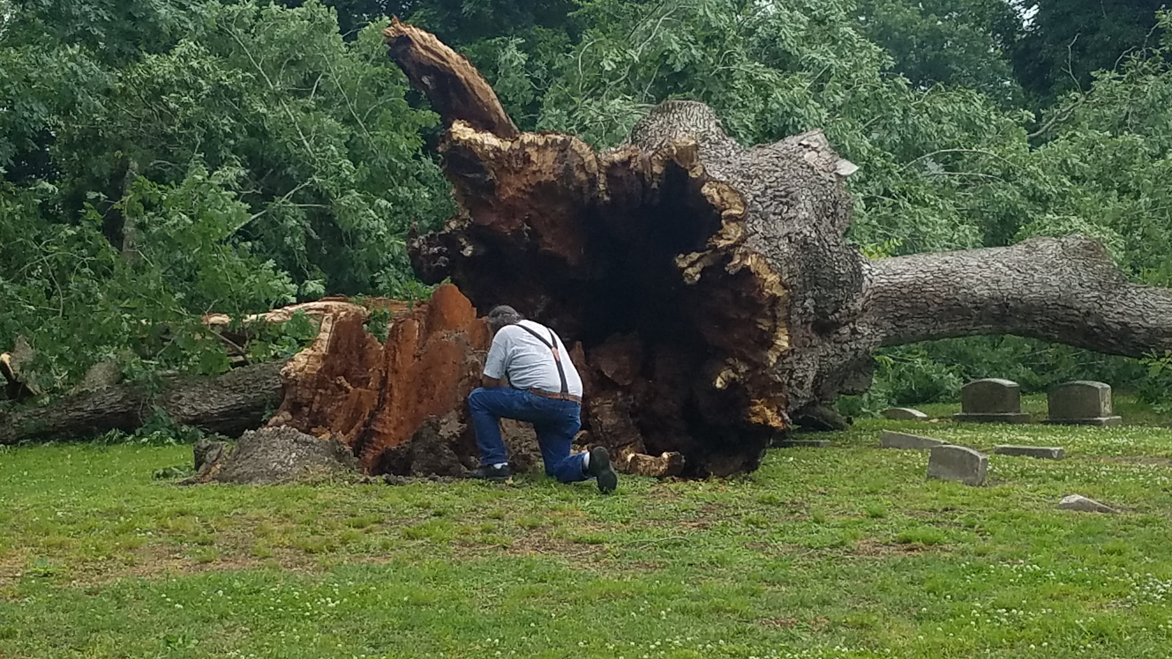 Salem-Oak-3-060719 | Follow South Jersey